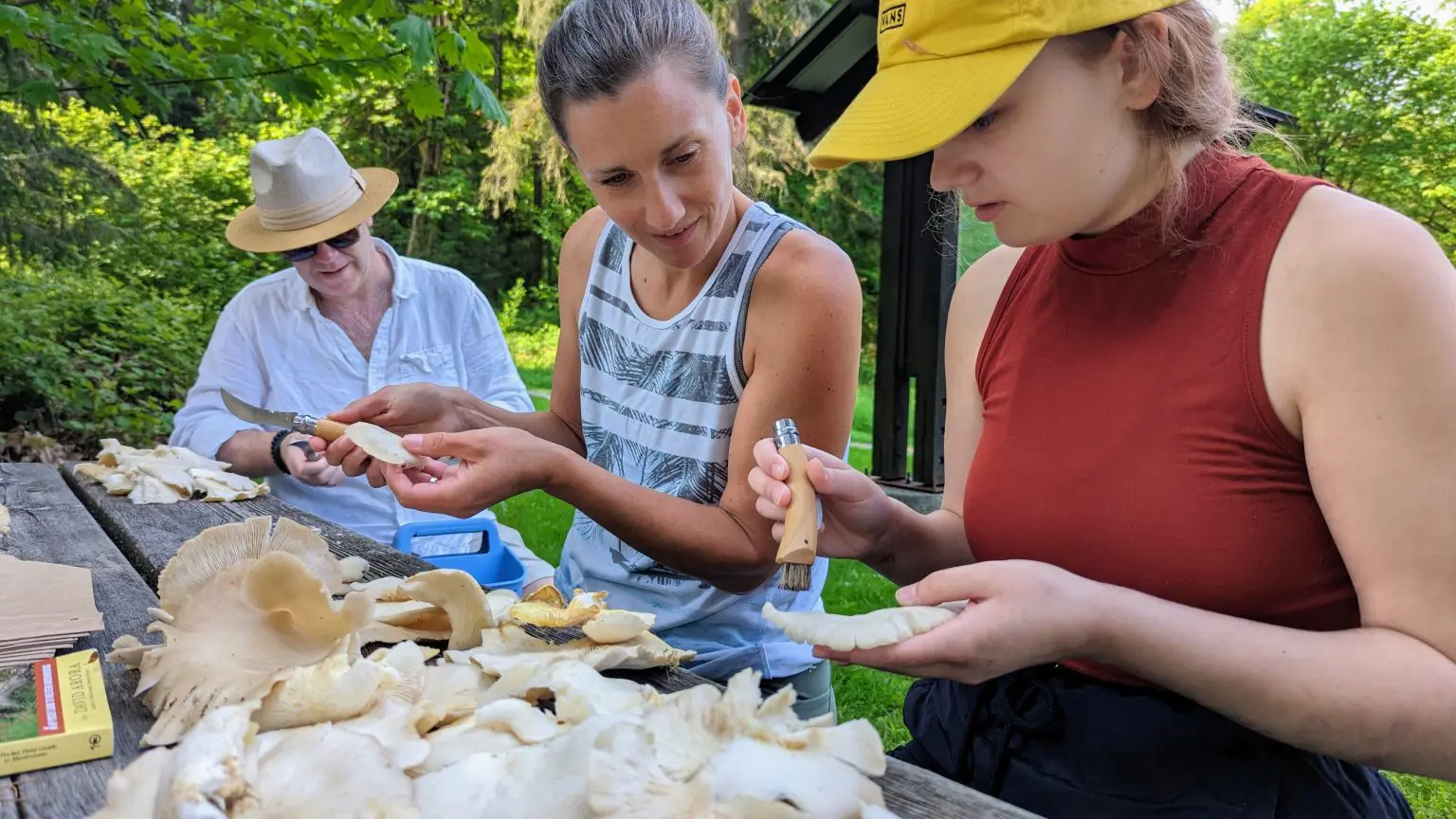 Mushroom Foraging Classes & Hunts, Clam Dig | Forage Seattle